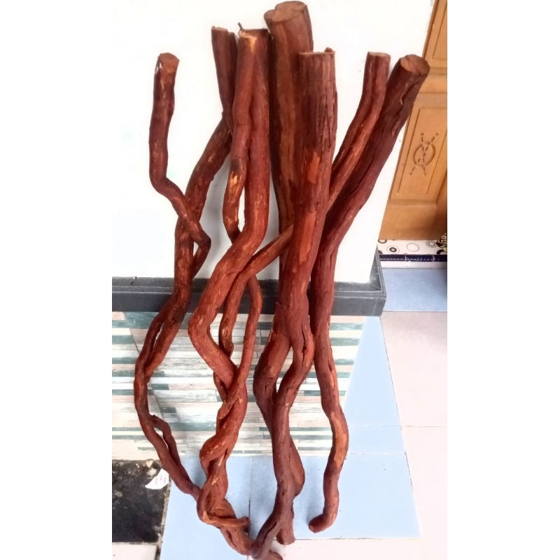 Jual santigi akar 1 meter diameter 3-4cm random | Shopee Indonesia