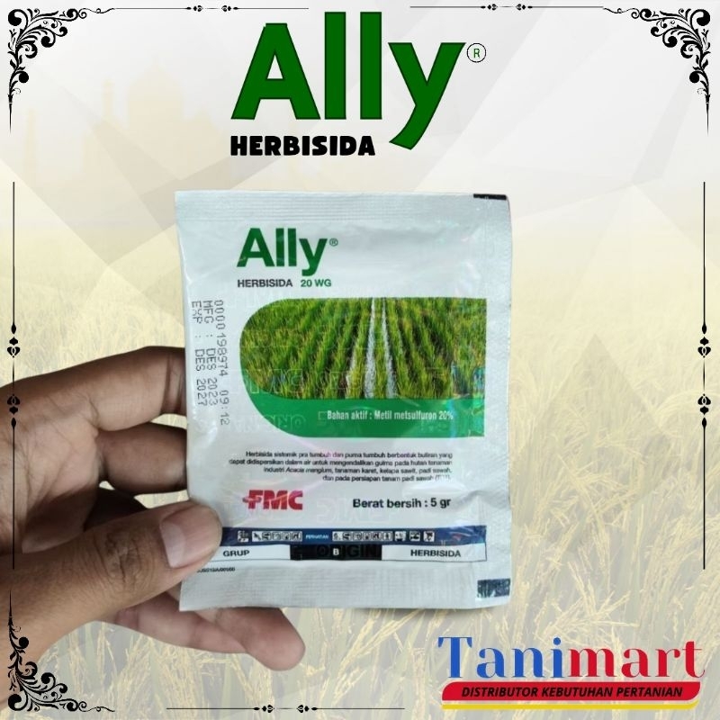 Jual ALLY 20 WG HERBISIDA SELEKTIF PADI/ HERBISIDA RUMPUT PADI ...