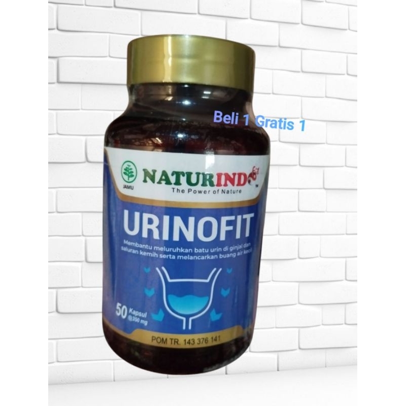 Jual Sari Ikan Kutuk, Bawang Goreng Palu, Biomini Bio mini, Urinofit ...