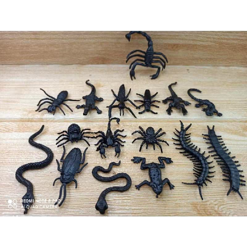 Jual mainan hewan serangga hitam isi 5pcs | Shopee Indonesia