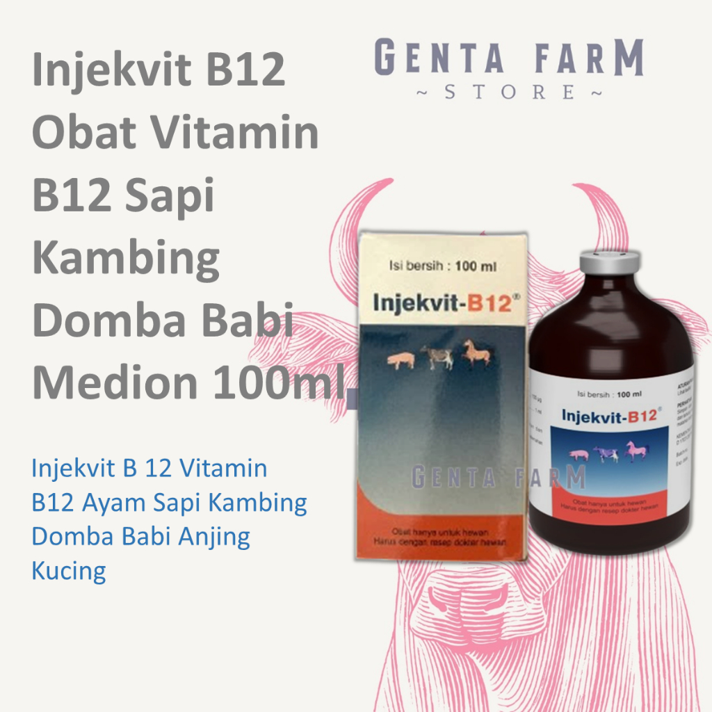 Jual Injekvit B12 Obat Vitamin B12 Sapi Kambing Domba Babi Medion 100ml ...