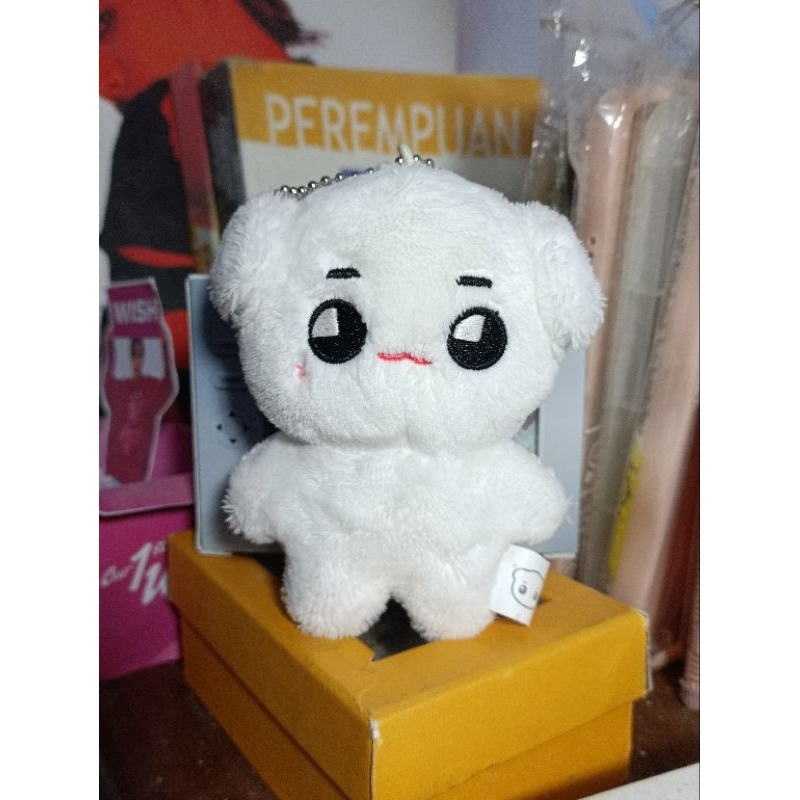 Jual Preloved Taeyong Doll Tyongya 10 cm | Shopee Indonesia