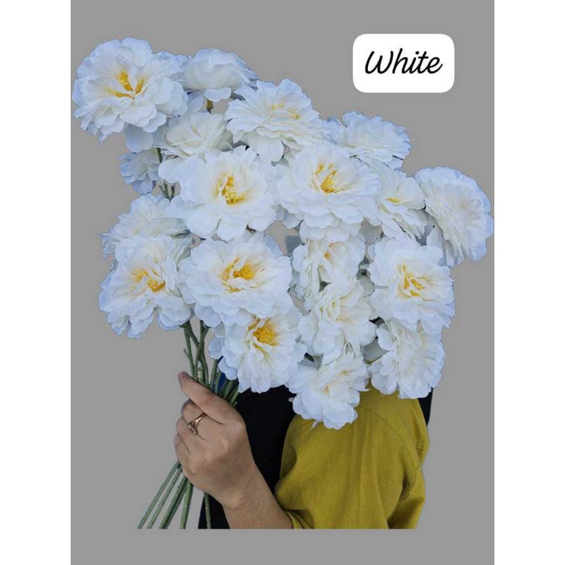 Jual REKOMENDASI BUNGA SHARON BUNGA CANTIK PASTI MURAH BUNGA WEDING ...