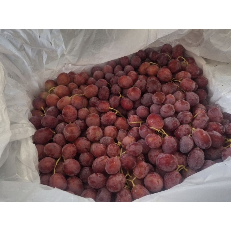 Jual Anggur Red Globe Australia 1kg | Shopee Indonesia
