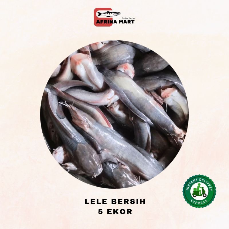 Jual Ikan Lele Bersih 700 gram Frozen - Kirim Instant Afrina Mart | Shopee Indonesia