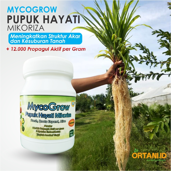 Jual Mycogrow Powder Pupuk Hayati Berbasis Mikoriza Penguat Akar ...