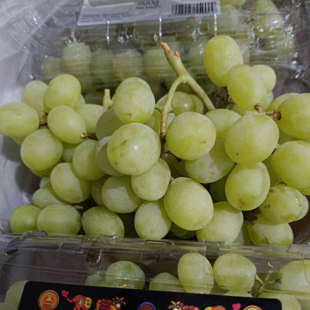Jual Anggur Hijau pack/Thompson/500 gr | Shopee Indonesia