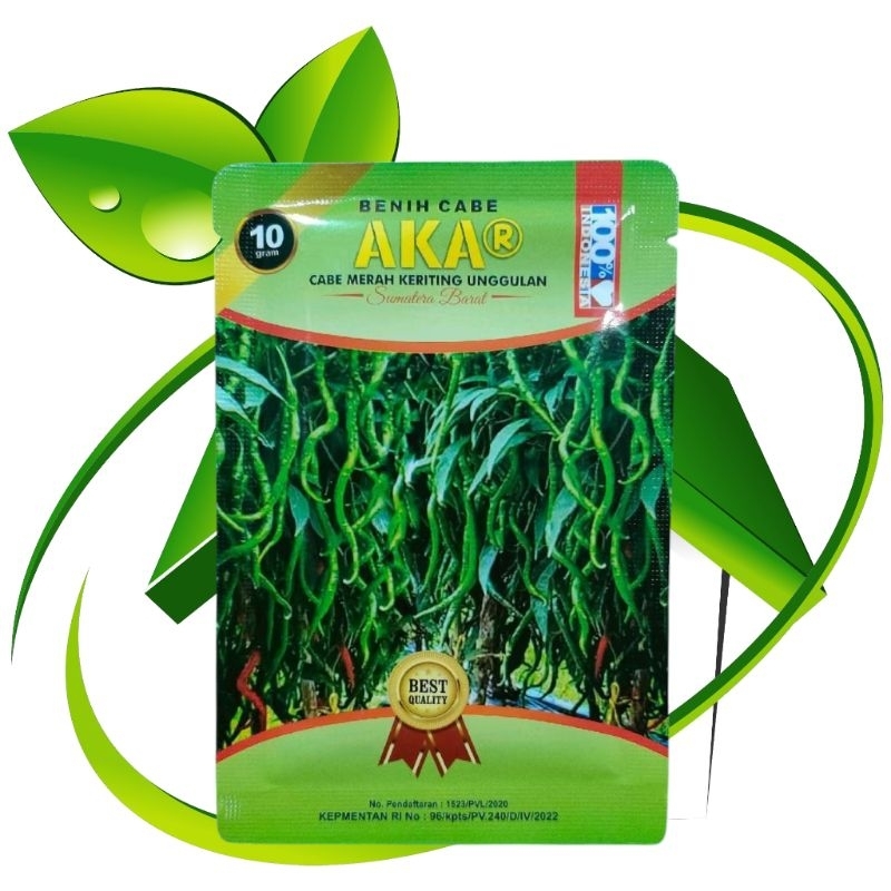 Jual Benih Cabe Akar Unggul Tahan Virus Lokal Sumatra Barat 10gr lokal ...