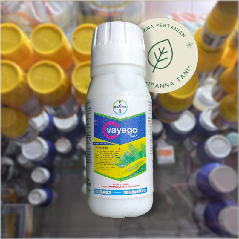 Jual INSEKTISIDA VAYEGO 200SC BAYER 100ML – PENGENDALI HAMA PADA ...