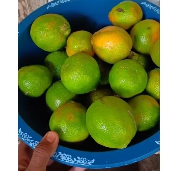 Jual 1kg jeruk wedang fresh asem kecut cocok dan terasa buat es ...