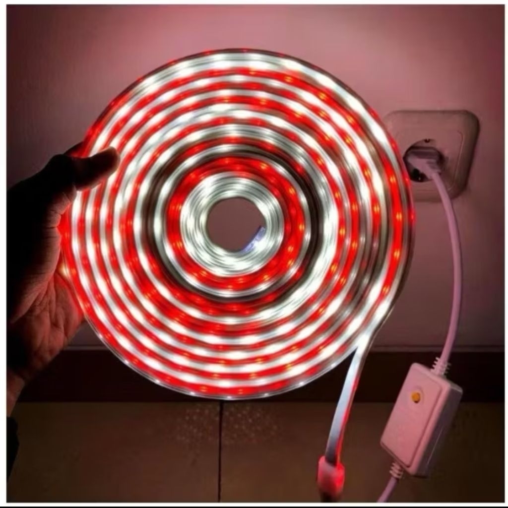 Jual Lampu Strip Merah Putih / Lampu Hias 17 Agustus / Lampu Led Strip ...
