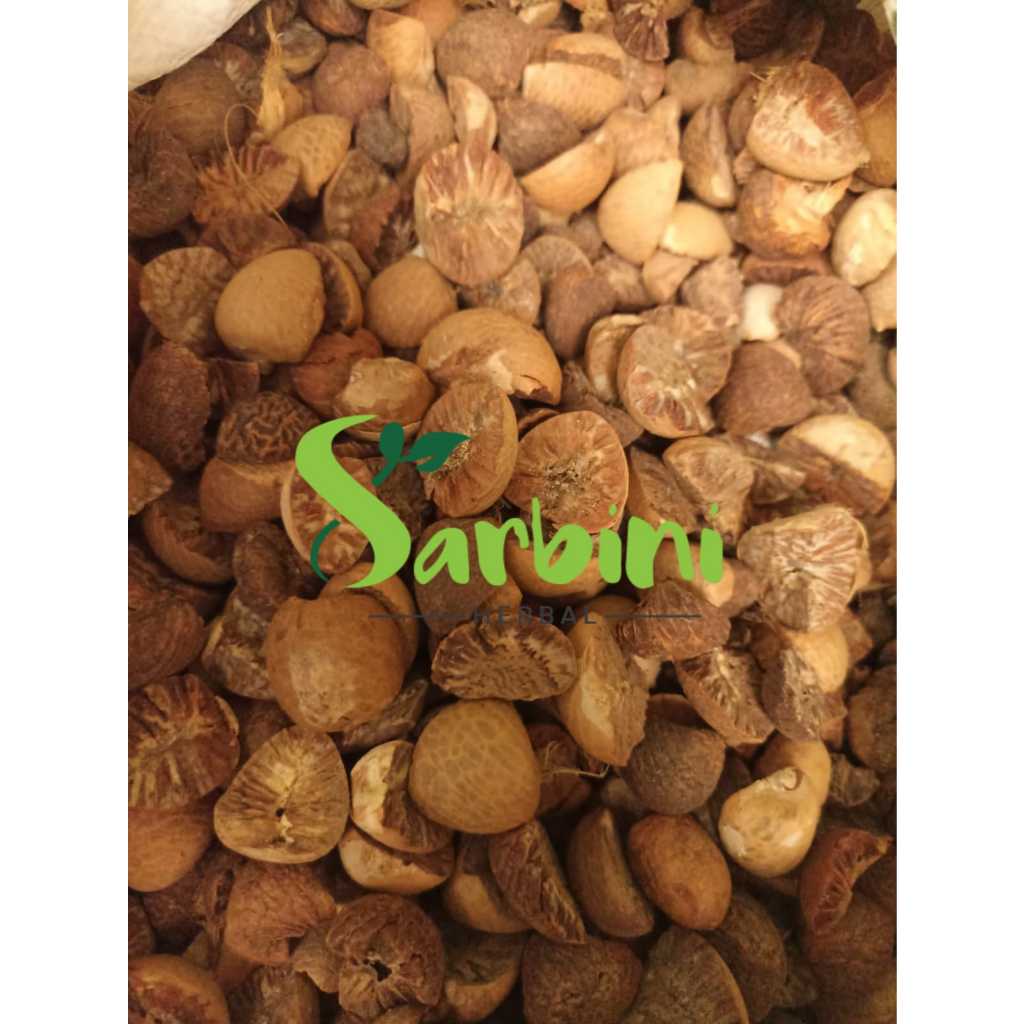 Jual Pinang Muda / Jambe Muda Kering 500 gram / 1000 gram / Simplisia ...