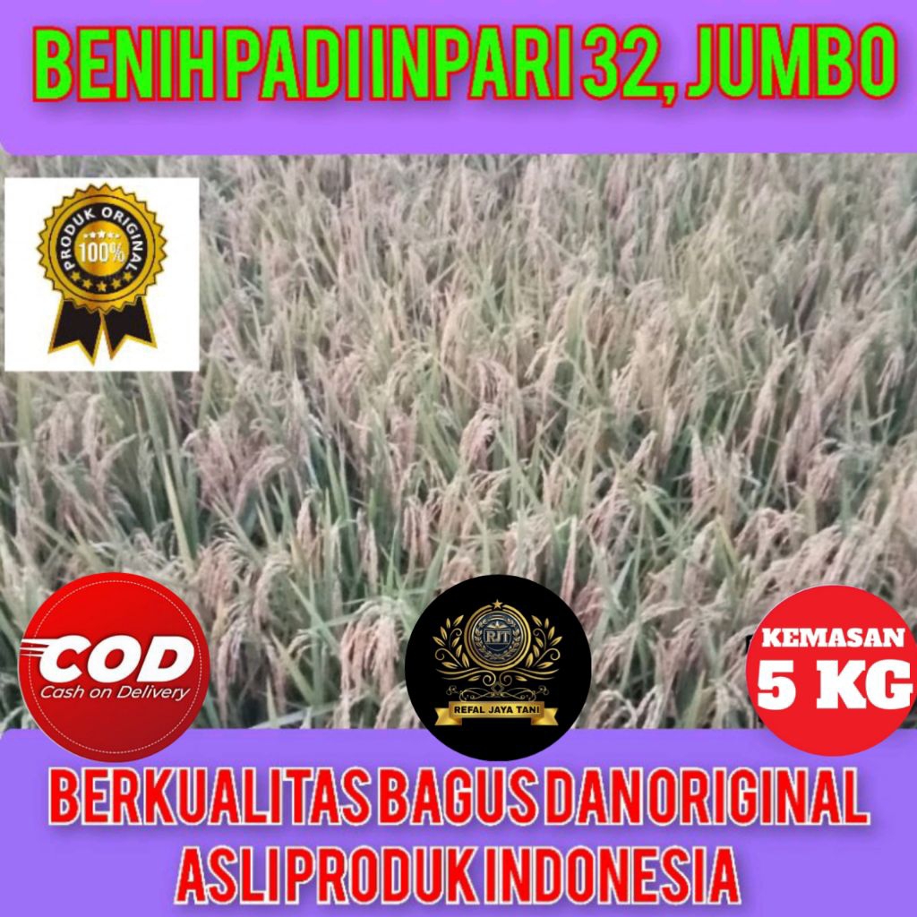 Jual BENIH PADI INPARI 32 JUMBO KEMASAN 5KG ORIGINAL | Shopee Indonesia