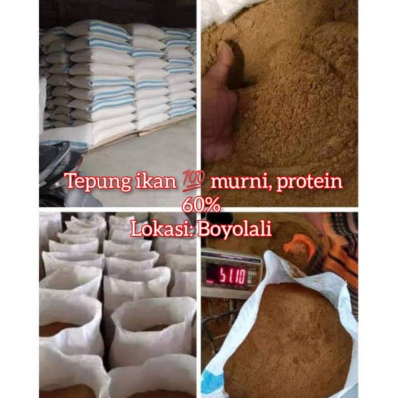 Jual tepung ikan murni protein tinggi tepung ikan pakan ayam | Shopee Indonesia
