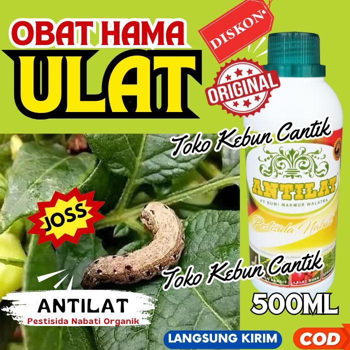 Jual Joss! Obat Hama ULAT serangga kutu daun aphid thrips belalang ...