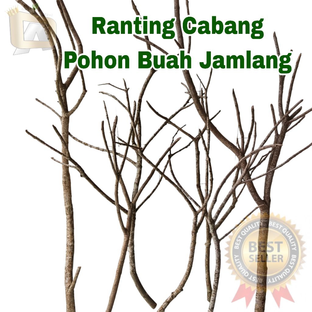 Jual Ranting Kayu Cabang Bahan Kerajinan Ranting Kayu Khas Madura ...
