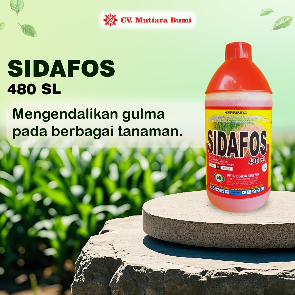 Jual Herbisida Sidafos 480 SL 1Liter obat rumput | mengendalikan gulma ...