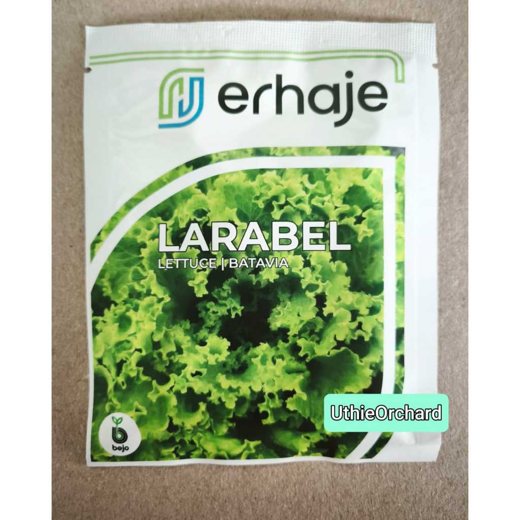 Jual Benih Bejo Seed - Selada Batavia Larabel Kemasan 1000 pills | Shopee Indonesia