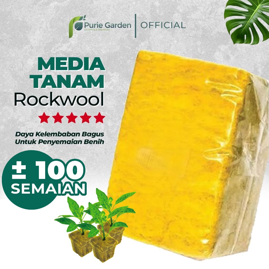 Jual Rockwool Hidroponik Media Tanam Semai 10 x 14 x 7.5 Cm Cultilene ...