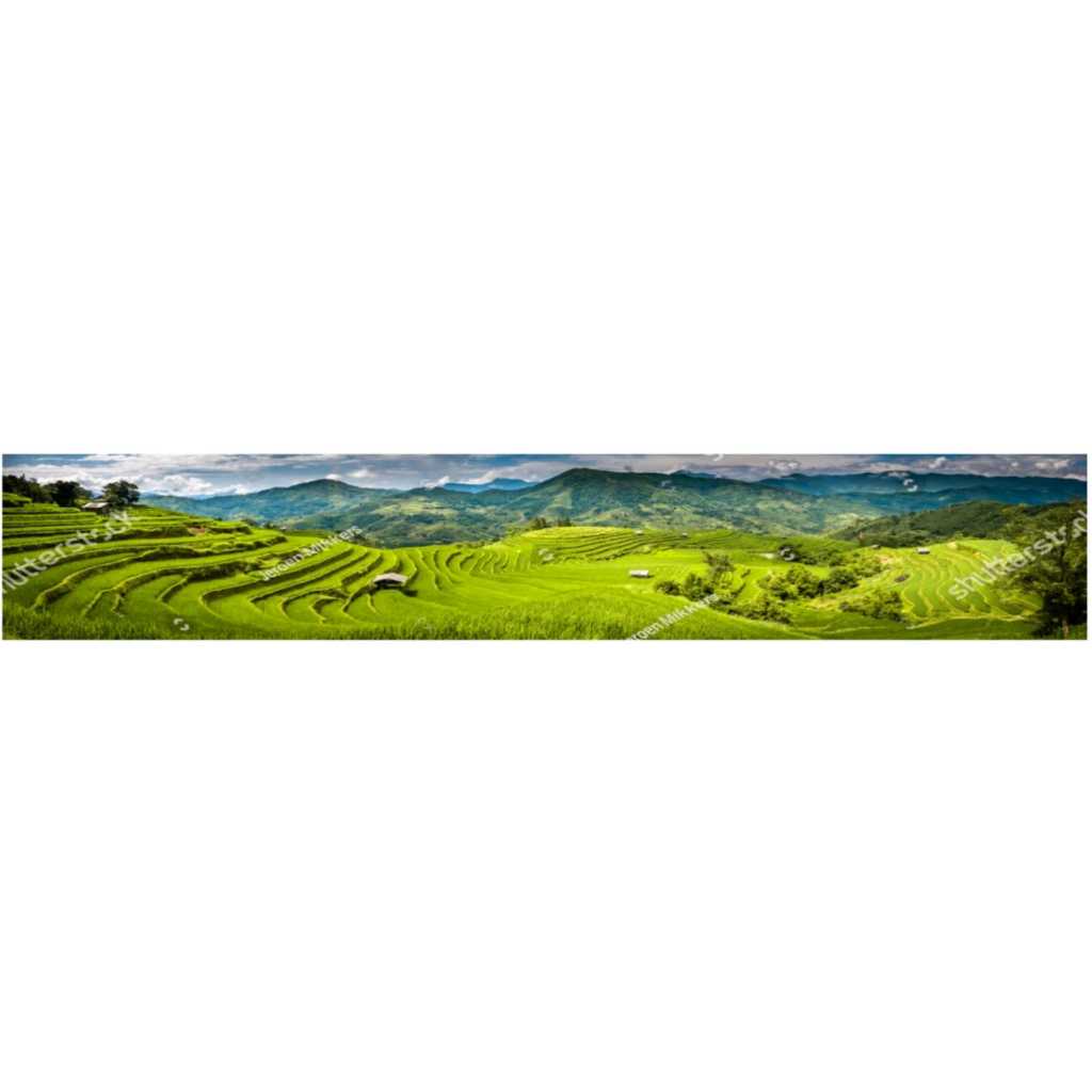 Jual PESANAN KHUSUS STIKER VINYL MOTIF PANORAMA SAWAH - STIKER DINDING ...