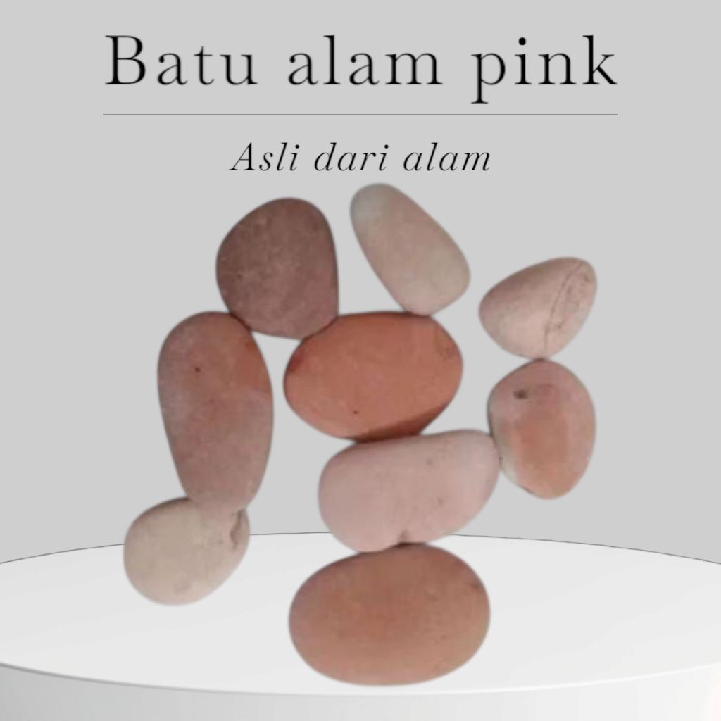 Jual Batu koral kupang warna ping 1kg/Batu ping/Batu hias koral/Batu ...