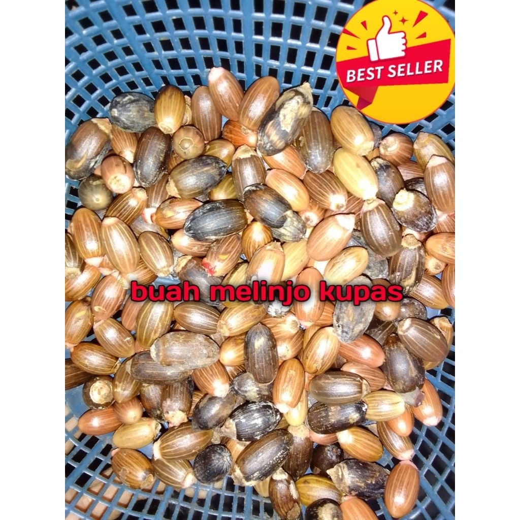 Jual buah melinjo kupas biji melinjo murah meriah 1kg | Shopee Indonesia
