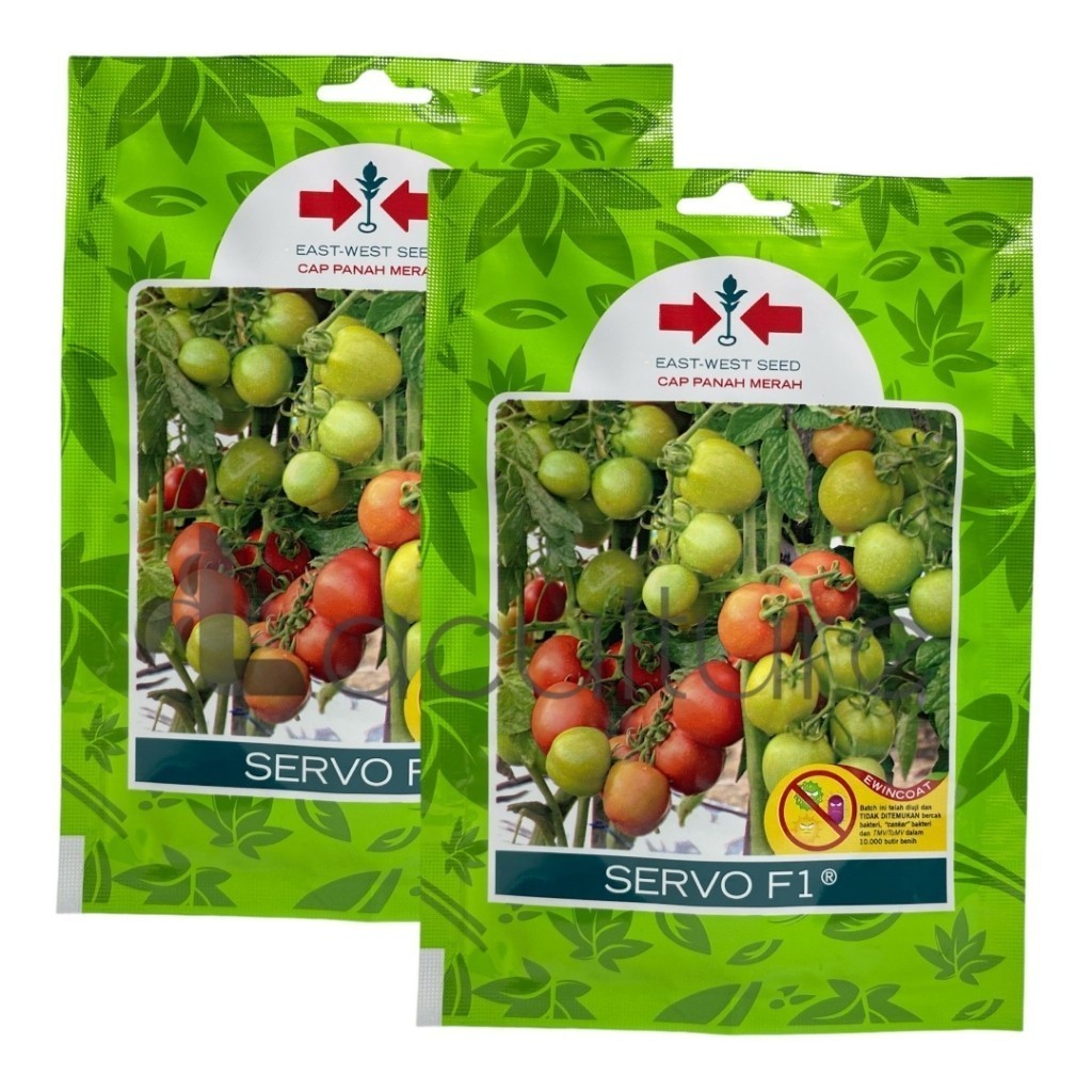 Jual Benih Tomat SERVO F1 (1.750 Butir) EAST-WEST SEED CAP PANAH MERAH ...