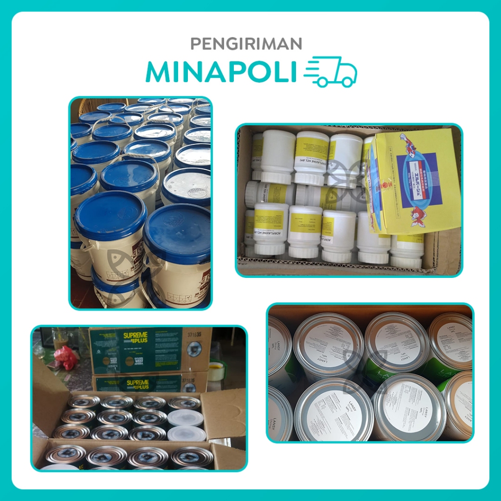 Jual Probiotik Udang dan Ikan Biolacto MB Pro kemasan 1 kg | Shopee ...