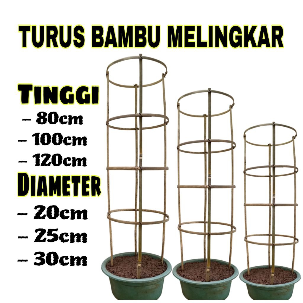 Jual Turus Bambu Melingkar/Ajir Tanaman/Turus Penyangga Tanaman/Round ...