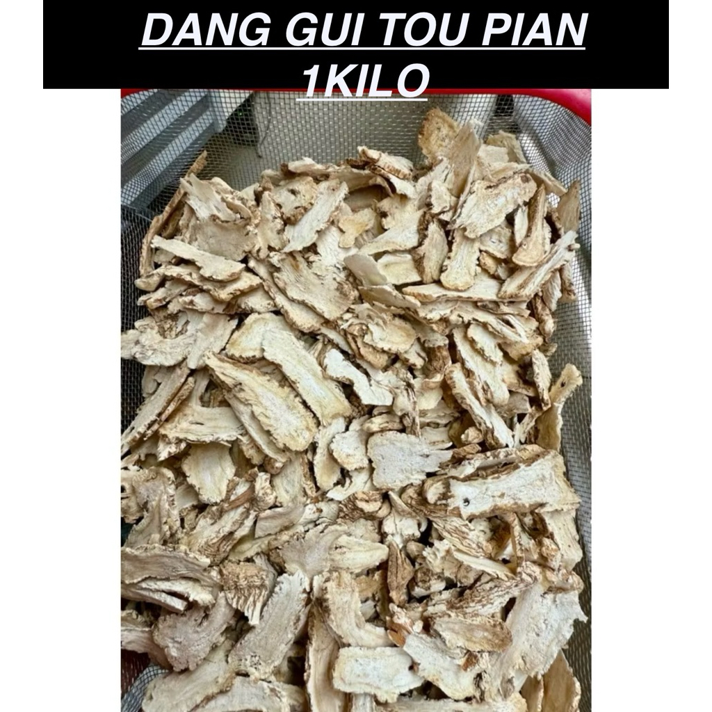 Jual 1KG 1KILO DANG GUI TOU PIAN Chinese angelica root (dang gui ...