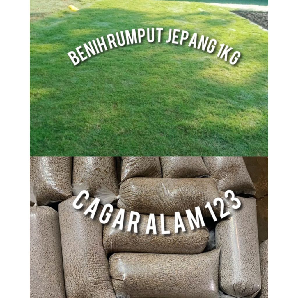 Jual BENIH RUMPUT JEPANG 1KG | Shopee Indonesia