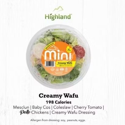 Jual Salad Mini Creamy Wafu + Chicken + Dressing 100 gr | Shopee Indonesia