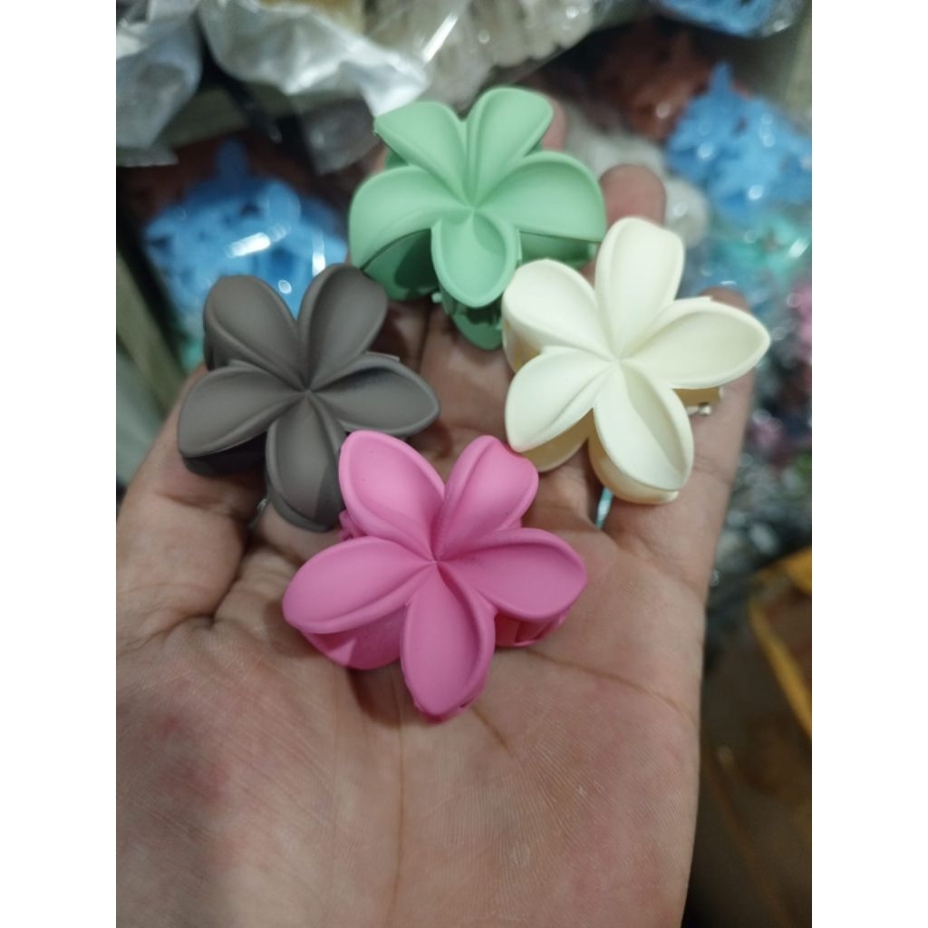 Jual (12pcs) Jepitan Rambut Import Model Bunga Kamboja Warna Doft ...