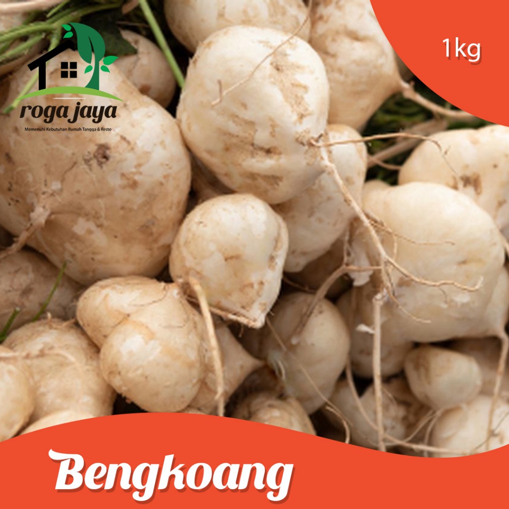 Jual Buah Bengkoang Berat 1kg Fresh | Shopee Indonesia
