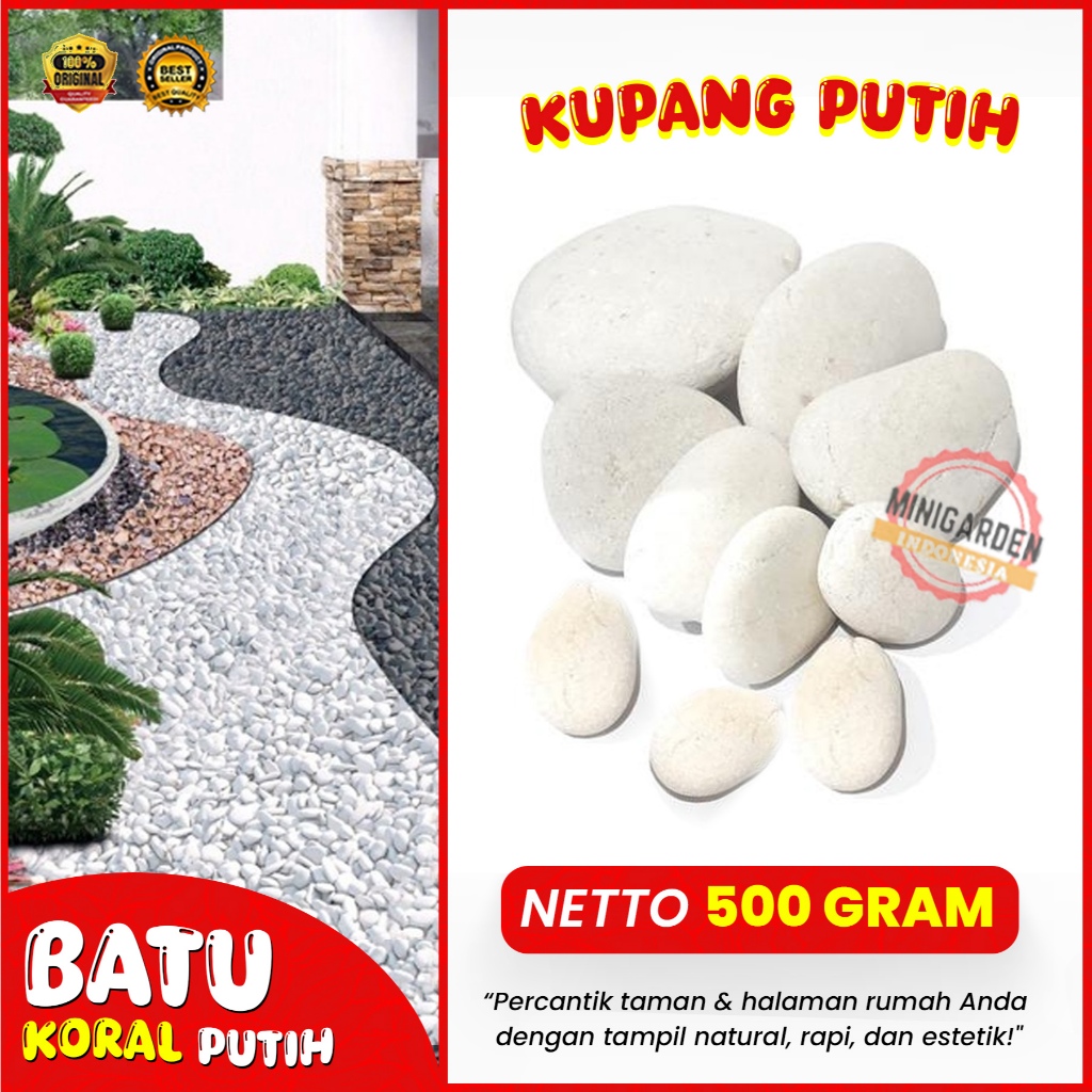 Jual BATU KORAL ECERAN 500GRAM batu kupang batu hias taman aquascape | Shopee Indonesia
