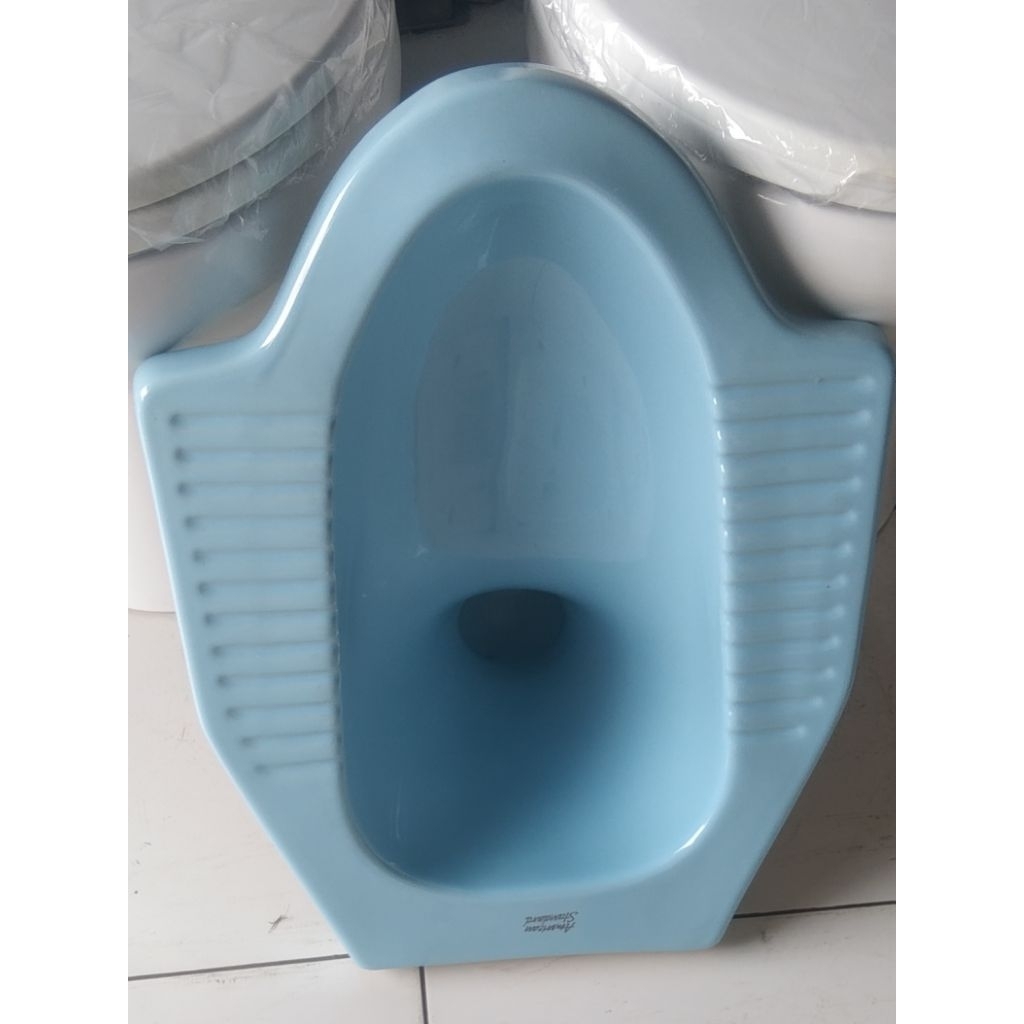 Jual Closet jongkok merk Amerika standar warna biru muda | Shopee Indonesia