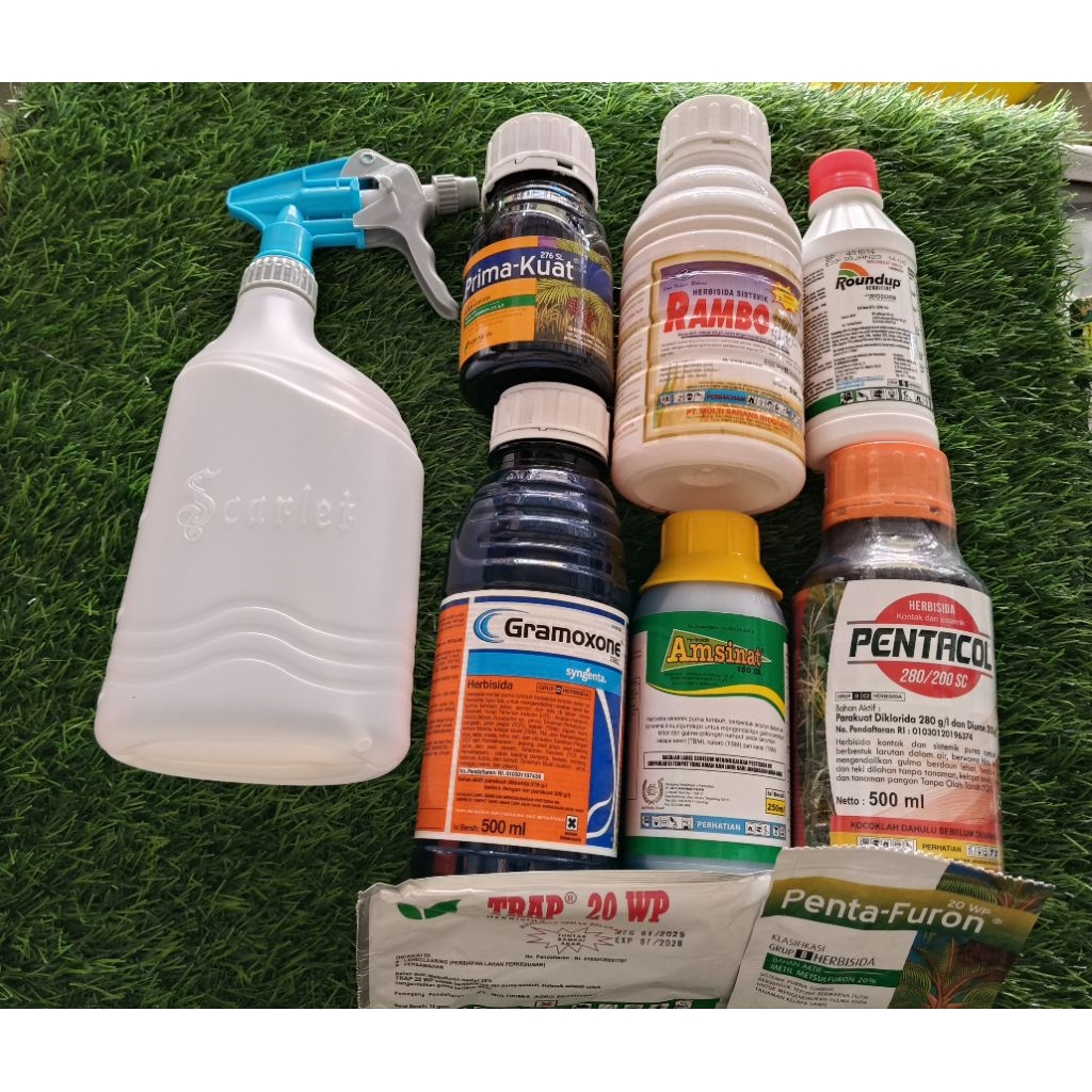 Jual PAKET SEMPROT AN RACUN OBAT RUMPUT LALANG LULANGAN TULANGAN ...