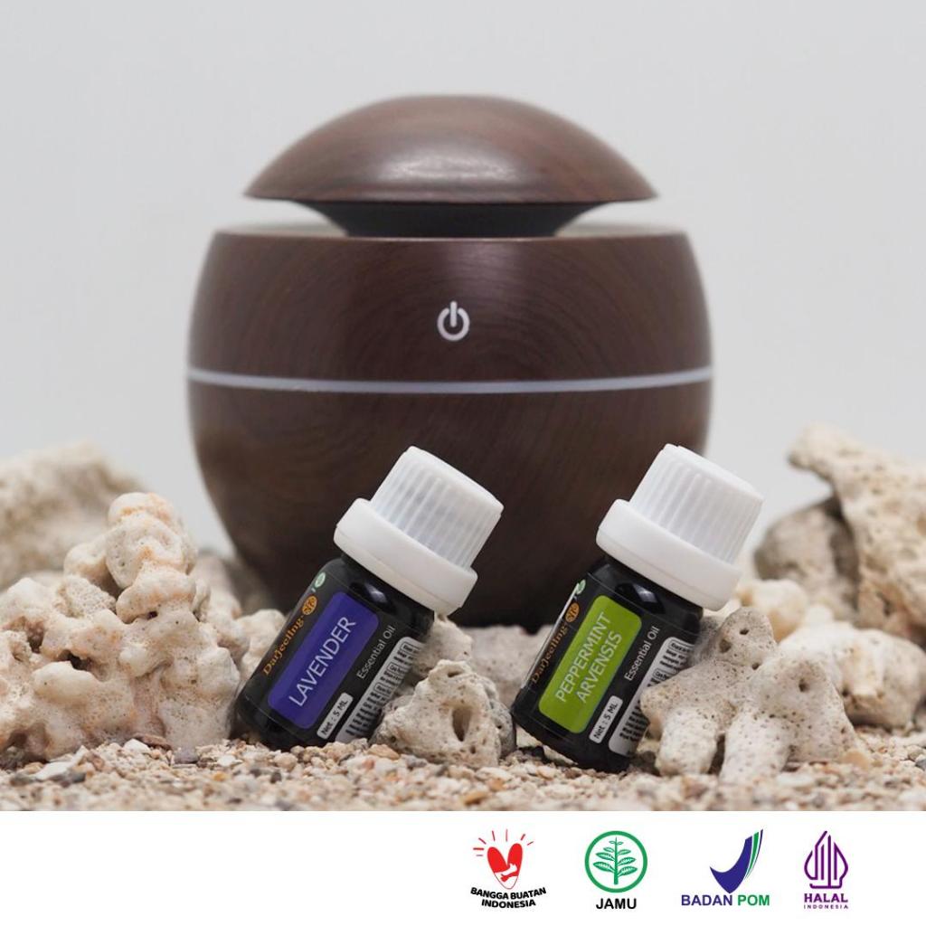 Jual HUMI Wood USB Humidifier Diffuser + Best Seller 2 x 5ml Pure ...