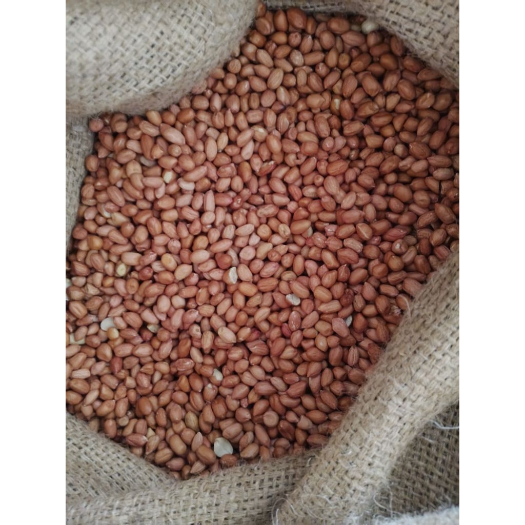 Jual Kacang Tanah India 5 kg | Shopee Indonesia