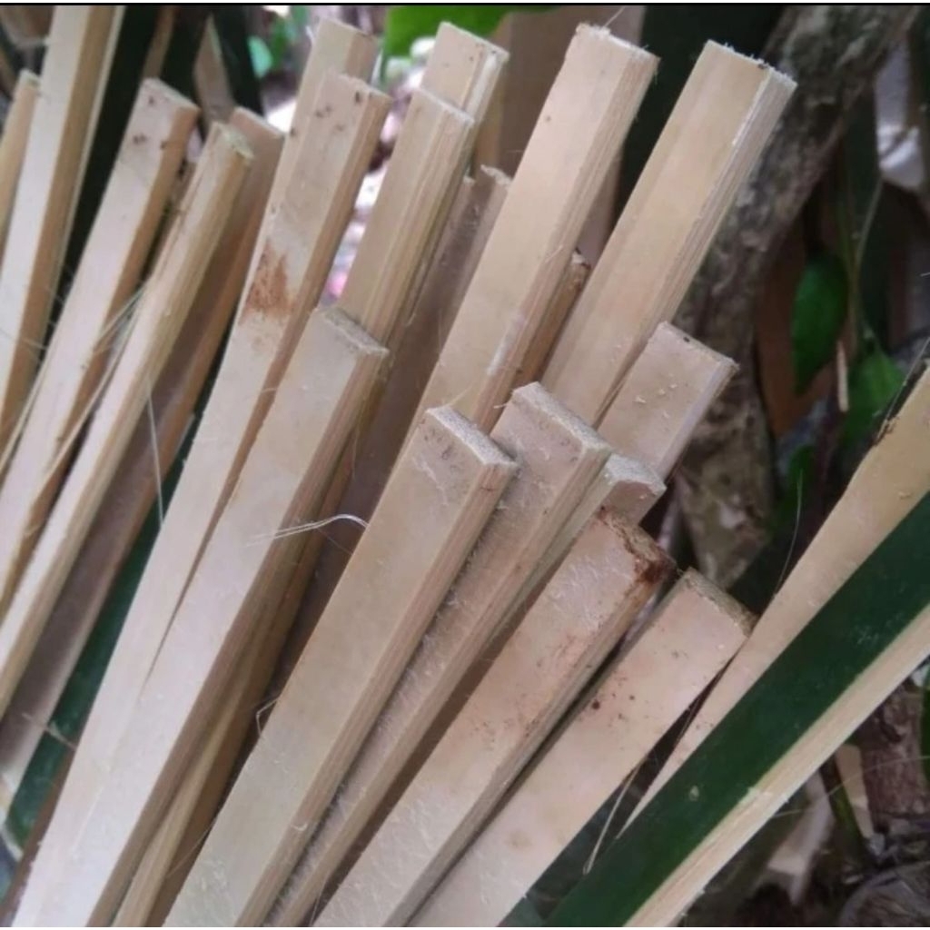 Jual Bilah bambu anjir tanaman lebar 2 cm panjang 50 cm | Shopee Indonesia