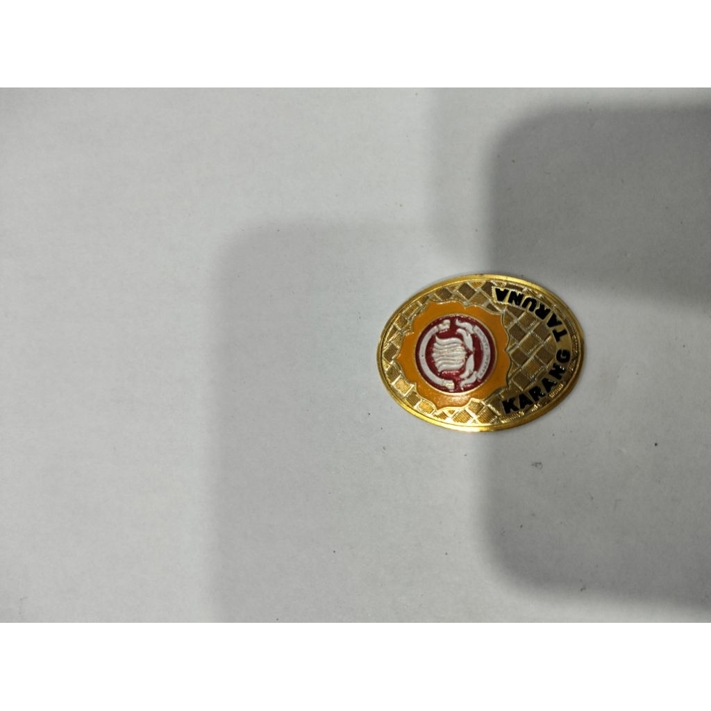 Jual PIN KARANG TARUNA BAHAN PREMIUM KUNINGAN MAGNET. | Shopee Indonesia