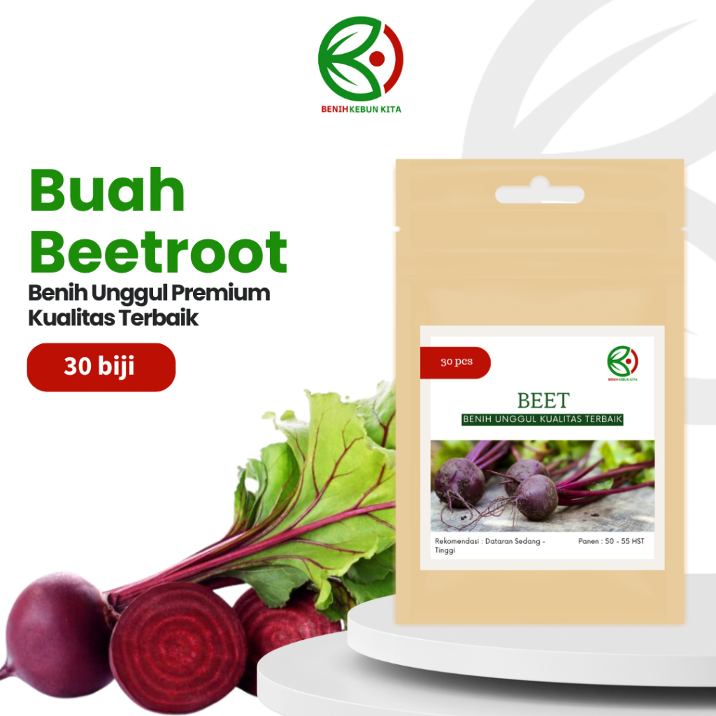Jual Biji Benih BIbit Tanaman Buah Bit Beetroot Unggul Berkualitas ...