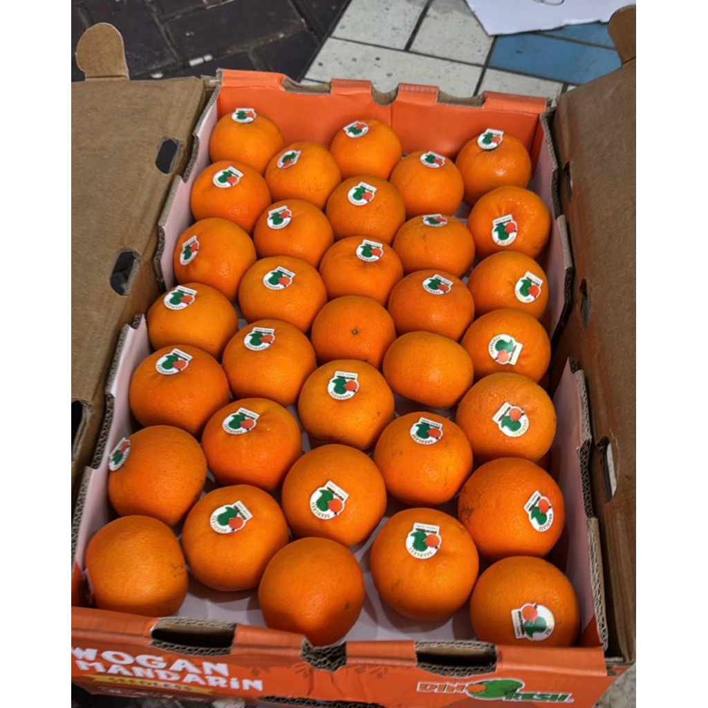 Jual Jeruk Wokam Dino Manis Fresh | Jeruk wogan Dino Seedless 9kg | Box ...