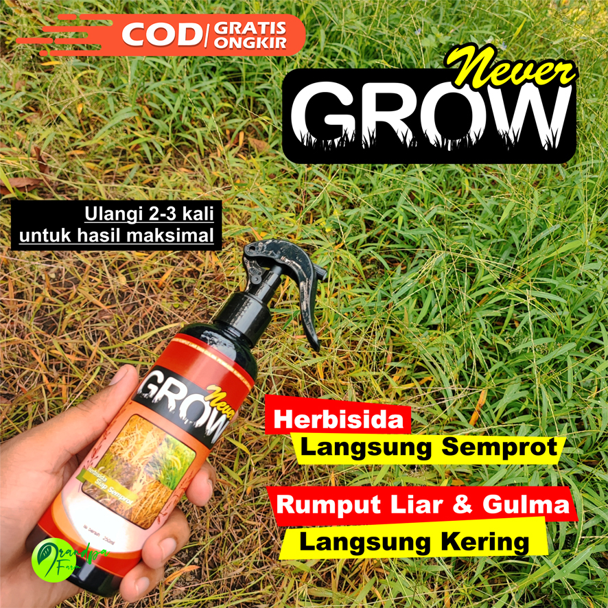 Jual NeverGrow Obat Rumput Liar Siap Semprot. Pembasmi Rumput Mati ...