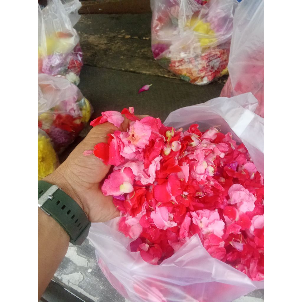 Jual BUNGA TABUR BUNGA ZIARAH BUNGA PACAR CANTIK SEGER PER 1 BKS ISI ...