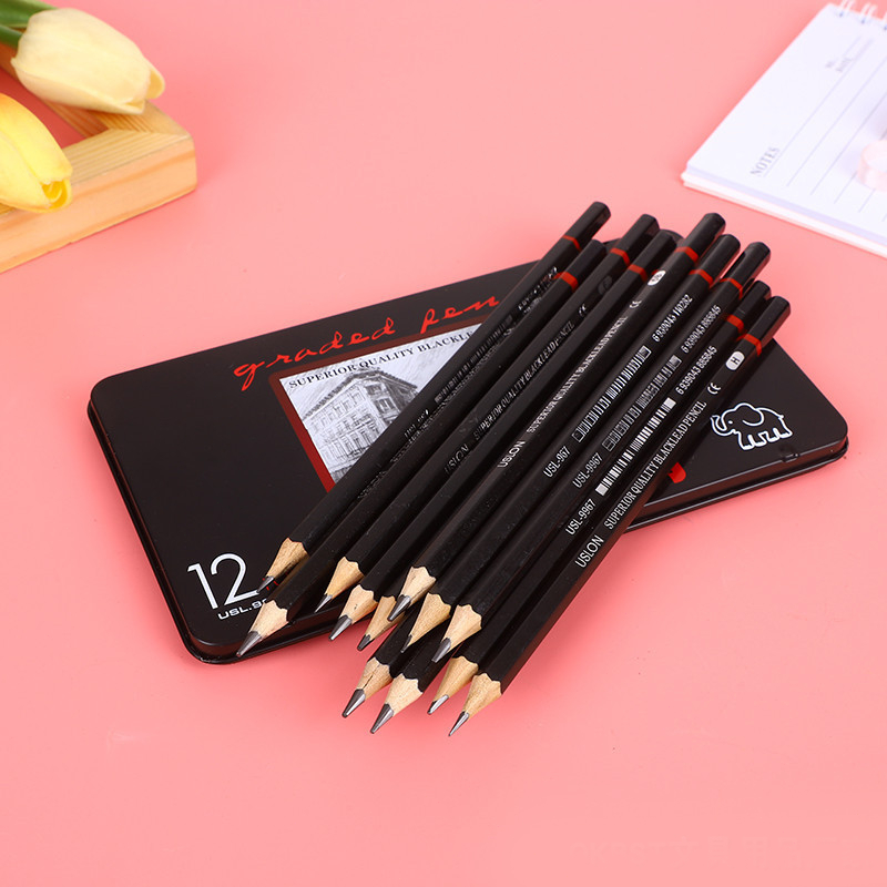 Jual 12pcs/set Pensil Drawing Bahan Charcoal Pensil Sketsa Pensil Khusus Sketsa Set Lengkap 2H ...