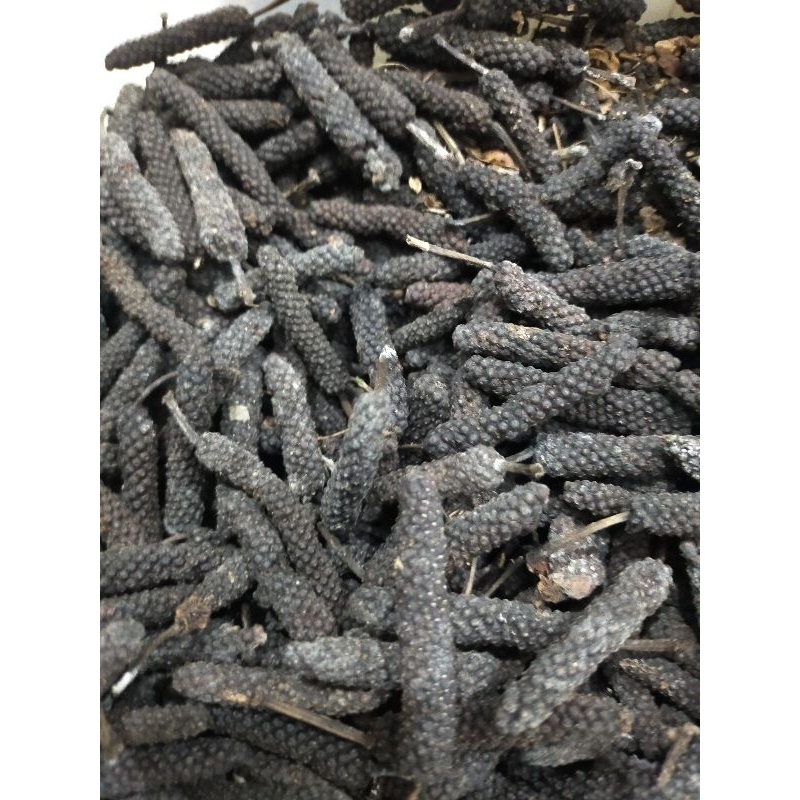 Jual Cabai Jawa - cabai Jawa kering - bahan jamu - kabari Jawa premium ...