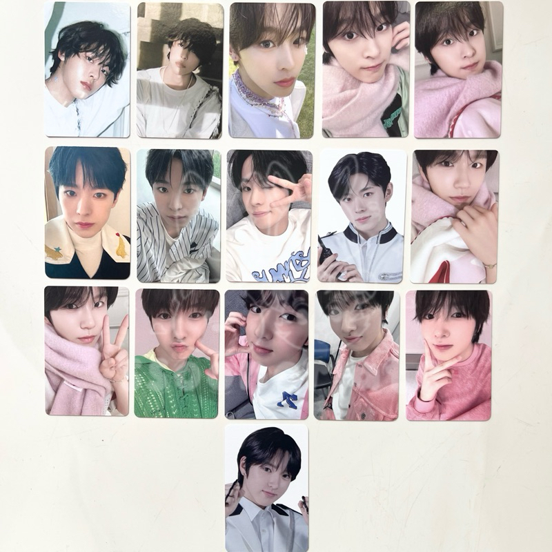 Jual Photocard NCT Wish Riku Yushi Jaehee Sakuya | Shopee Indonesia