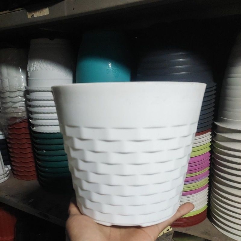 Jual Pot tanaman hias alexish asoka ukuran 20cm | Shopee Indonesia