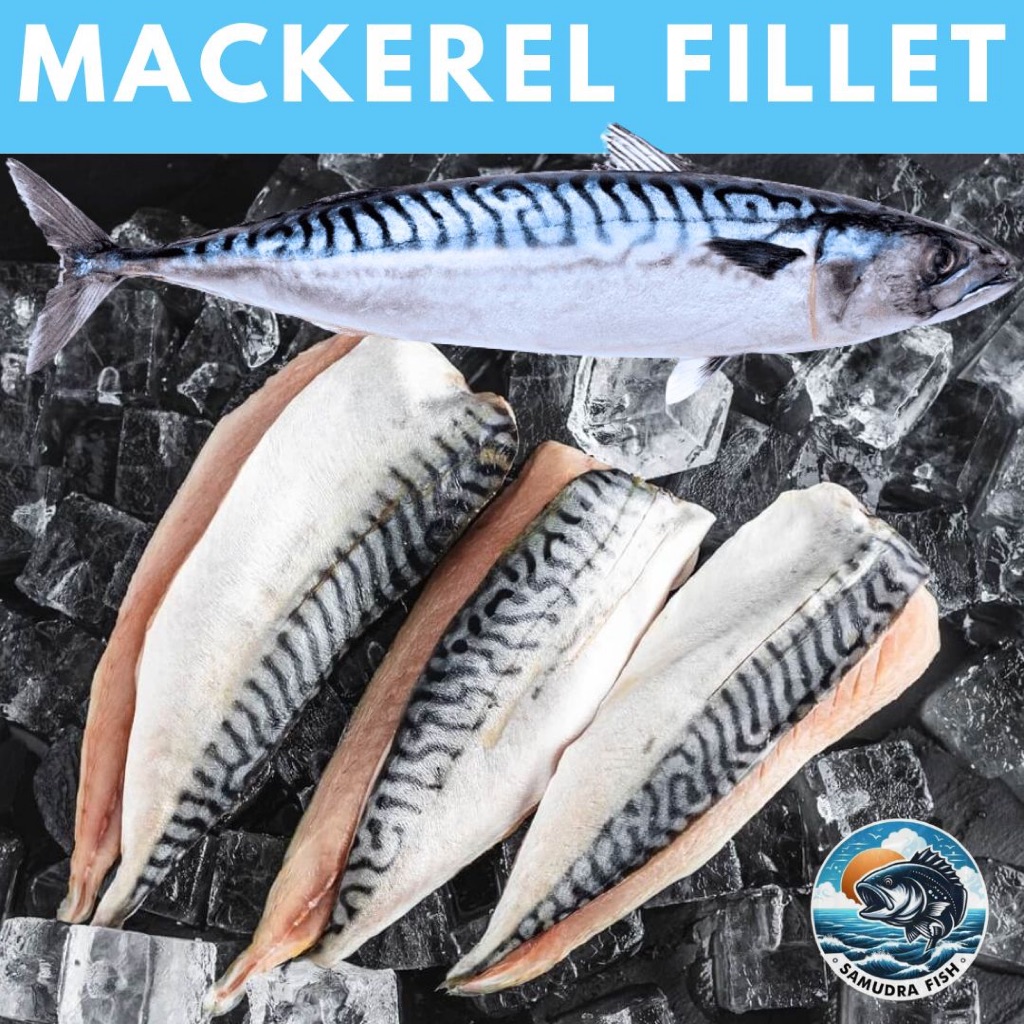 Jual MACKEREL FILLET SABA FILLET 500GR | Shopee Indonesia